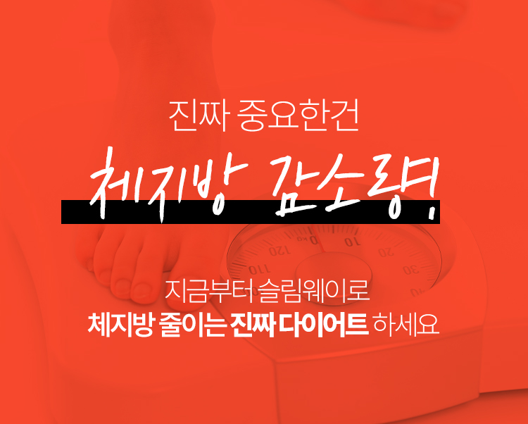 슬림웨이 다이어트